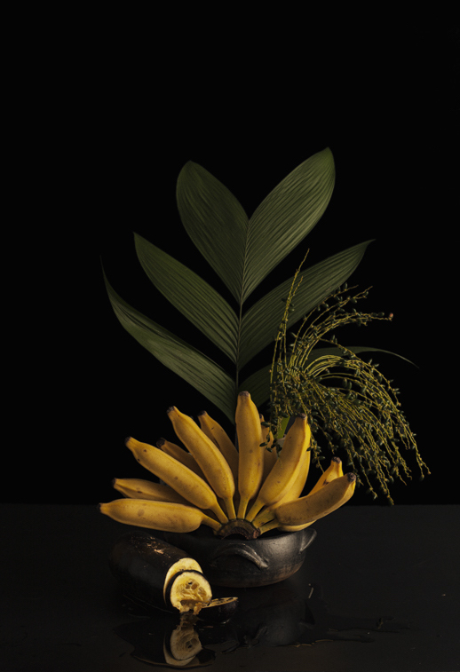 Nin Magazine / Editorial / Stills / Nina Lemm — LIGANORD