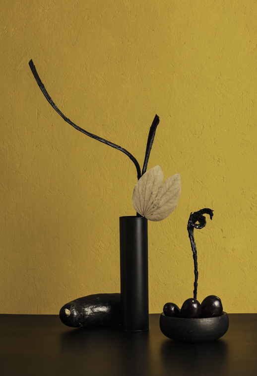 Nin Magazine / Editorial / Stills / Nina Lemm — LIGANORD